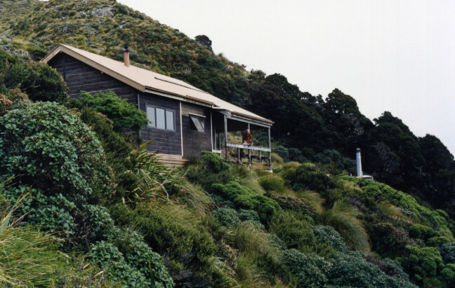 Powell Hut No. 2 - Tararua Forest Park, Wellington | Hut Bagger