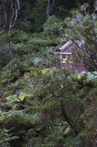 North Arm Hut (old) - Rakiura National Park, Southland | Hut Bagger