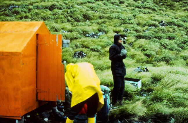 Arete Hut No. 1 (Arete Bivvy) - Tararua Forest Park, Wellington | Hut ...