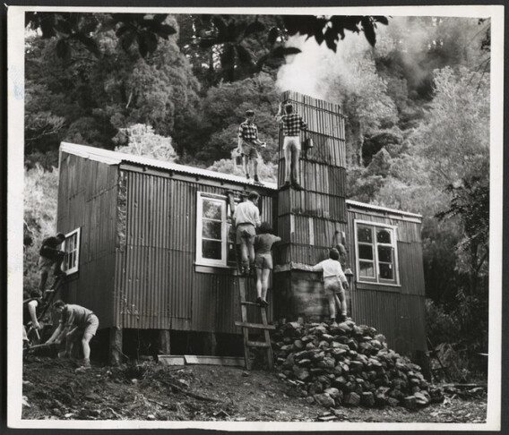 Tauherenikau Hut No. 2 - Tararua Forest Park, Wellington | Hut Bagger