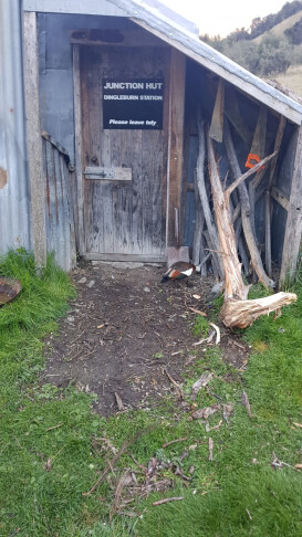 Junction Hut (Timaru River) - Hawea Conservation Area, Otago | Hut Bagger