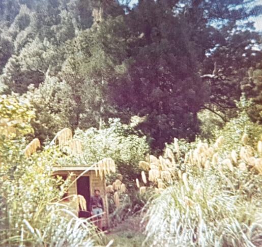 Opaheru Hut - Te Urewera, Bay of Plenty | Hut Bagger