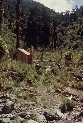 Centre Makaroro Hut - Ruahine Forest Park, Hawke's Bay | Hut Bagger