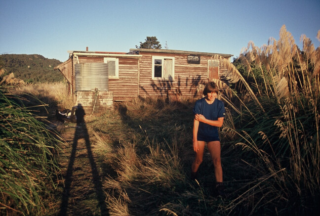 Nuffield Lodge - Pureora Forest Park, Manawatū-Whanganui | Hut Bagger