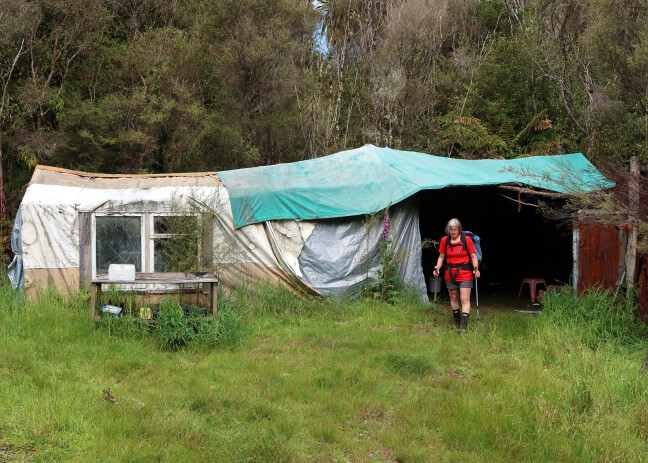 Sids Camp (Hut) - Pureora Forest Park, Manawatū-Whanganui | Hut Bagger