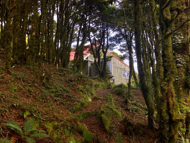 Alpha Hut No. 3 - Tararua Forest Park, Wellington | Hut Bagger