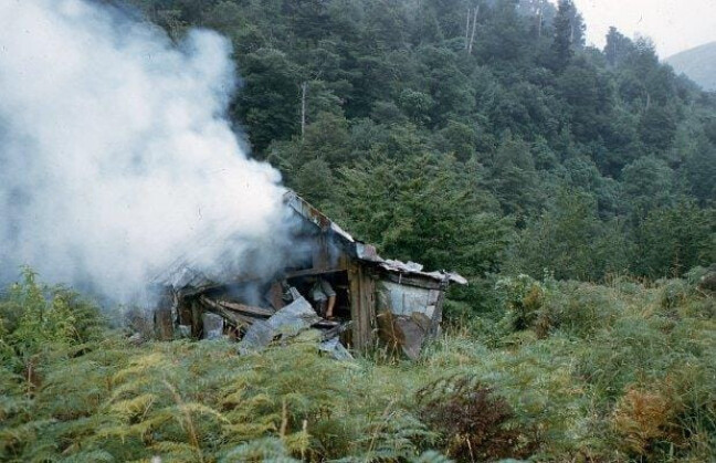 Johnson Creek Hut (Butchers Flat Hut) - Mount Richmond Forest Park ...
