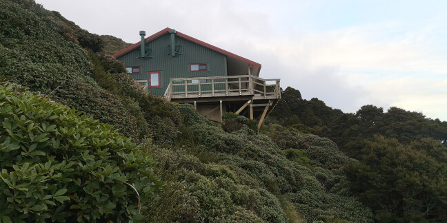 Powell Hut No. 4 - Tararua Forest Park, Wellington | Hut Bagger