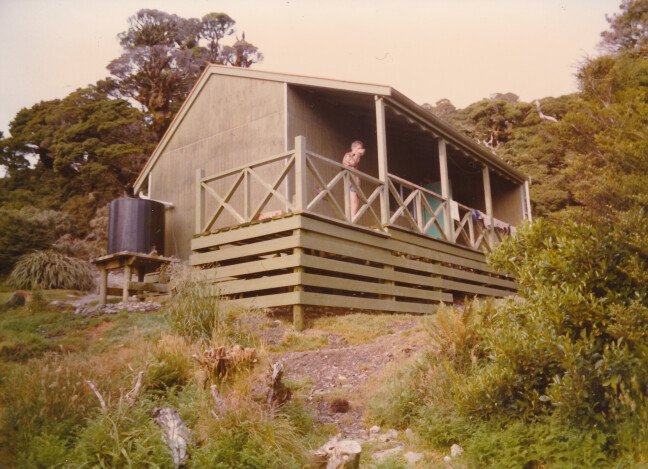 Alpha Hut No. 3 - Tararua Forest Park, Wellington | Hut Bagger