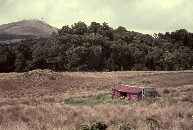 Salisbury Hut (old) - Kahurangi National Park, Nelson/Tasman | Hut Bagger