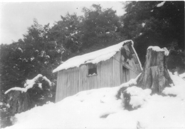 Flora Junction Hut (Atiken's Crossing Hut) - Kahurangi National Park ...