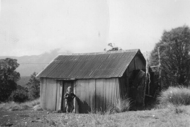 Balloon Hut (old) - Kahurangi National Park, Nelson/Tasman | Hut Bagger
