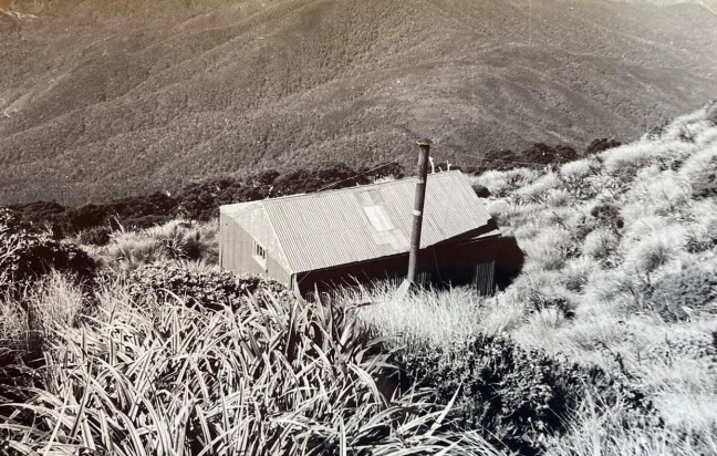 Powell Hut No. 1 - Tararua Forest Park, Wellington | Hut Bagger