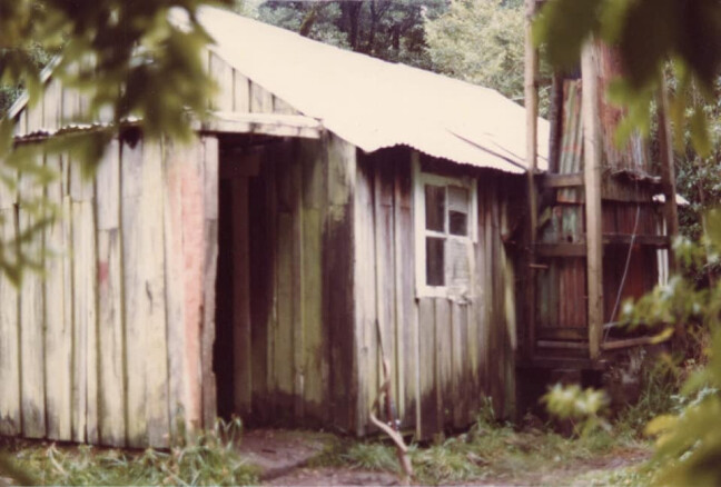 Totara Flats Hut No. 1 - Tararua Forest Park, Wellington | Hut Bagger