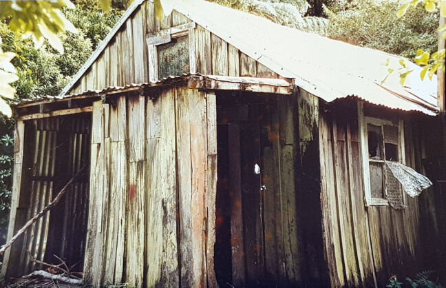 Totara Flats Hut No. 1 - Tararua Forest Park, Wellington | Hut Bagger