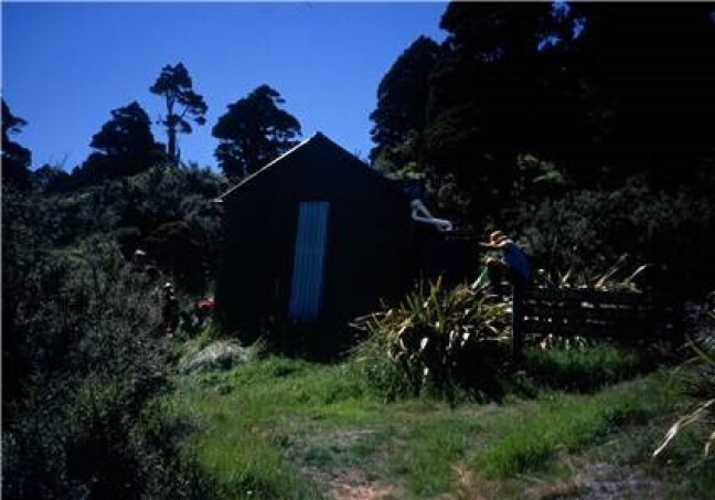 Purity Hut (old) - Ruahine Forest Park, Manawatū-Whanganui | Hut Bagger