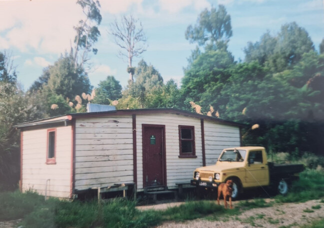 Tunawaea Stream Hut - Pureora Forest Park, Waikato | Hut Bagger