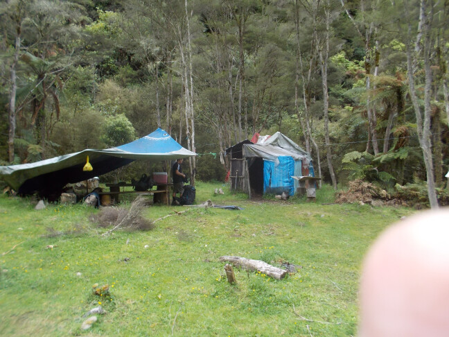 Three Forks Biv - Te Urewera, Bay of Plenty | Hut Bagger