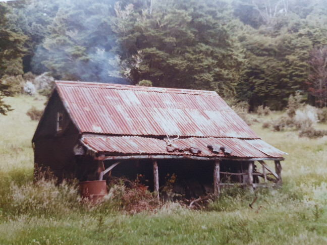 Golden Hills Hut (old) (Omarukōkā Hut) - Maori land, Hawke's Bay | Hut ...