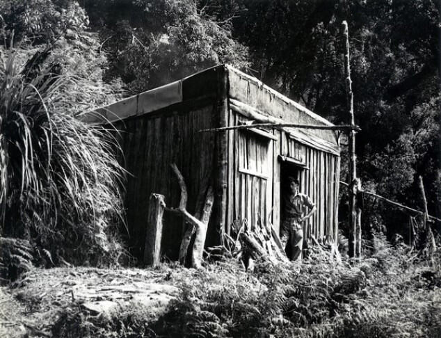 Cone Saddle Hut - Tararua Forest Park, Wellington | Hut Bagger