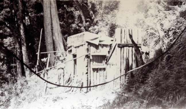 Cone Saddle Hut - Tararua Forest Park, Wellington | Hut Bagger