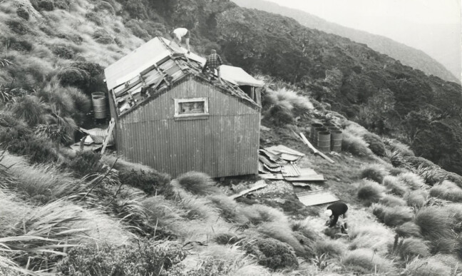 Powell Hut No. 1 - Tararua Forest Park, Wellington | Hut Bagger