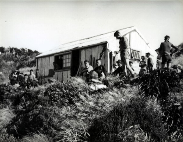 Powell Hut No. 1 - Tararua Forest Park, Wellington | Hut Bagger
