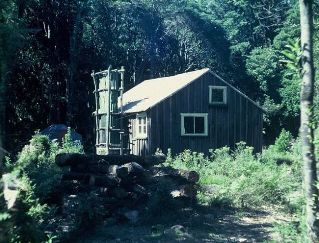 Totara Flats Hut No. 1 - Tararua Forest Park, Wellington | Hut Bagger
