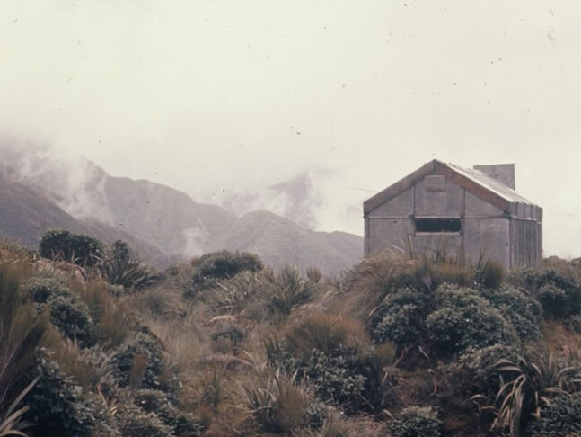 Bannister Basin Hut - Tararua Forest Park, Wellington | Hut Bagger