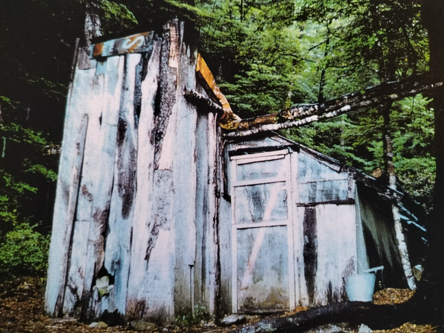 Lower Junction Hut - Kahurangi National Park, Nelson/Tasman | Hut Bagger