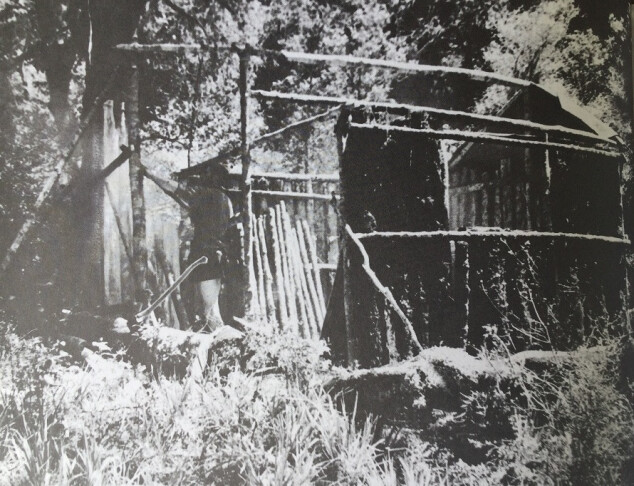 Te Naihi Hut (old) - Waiatoto Valley Conservation Area, West Coast ...