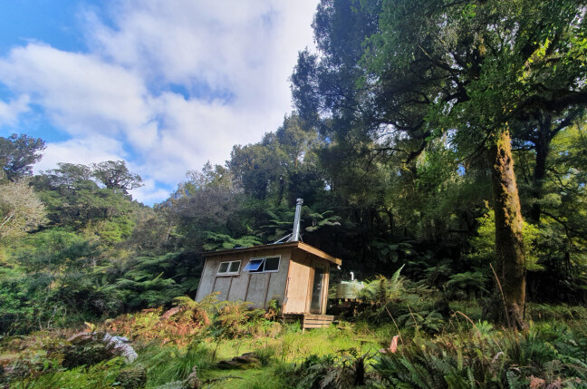 Ngatamatea Hut - Te Urewera, Bay of Plenty | Hut Bagger