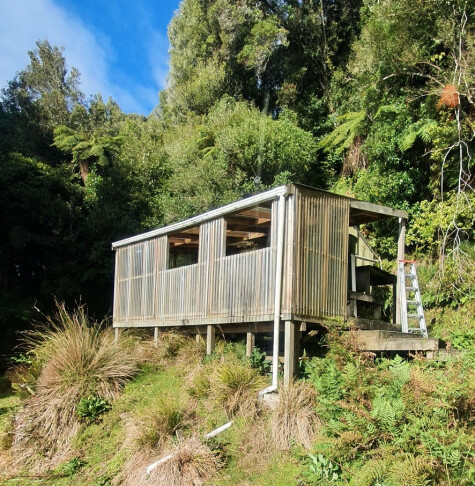 Pakoakoa Hut - Te Urewera, Bay of Plenty | Hut Bagger