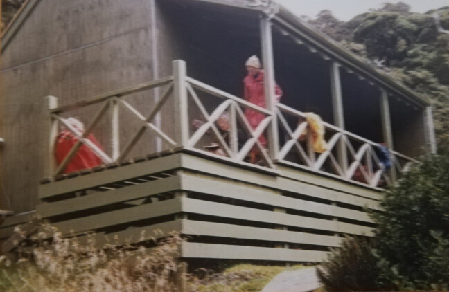 Alpha Hut No. 3 - Tararua Forest Park, Wellington | Hut Bagger