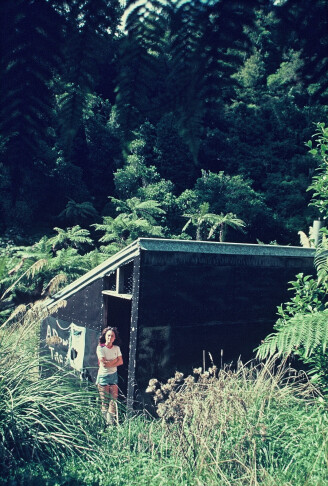 Tiritea Hut - Tiritea Reserve, Manawatū-Whanganui | Hut Bagger