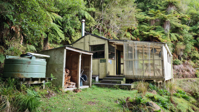 Pakoakoa Hut - Te Urewera, Bay of Plenty | Hut Bagger
