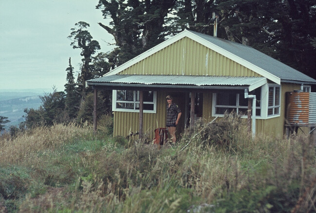 Panekiri Hut No. 2 - Te Urewera, Hawke's Bay | Hut Bagger