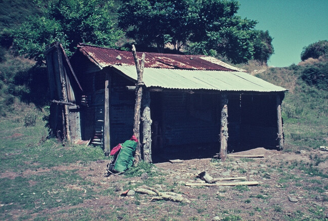 Tawhana Flats Hut - Te Urewera, Bay of Plenty | Hut Bagger