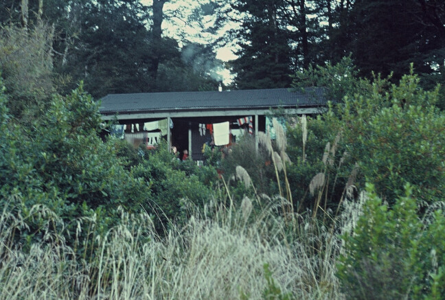 Waiopaoa Hut (old) - Te Urewera, Hawke's Bay | Hut Bagger