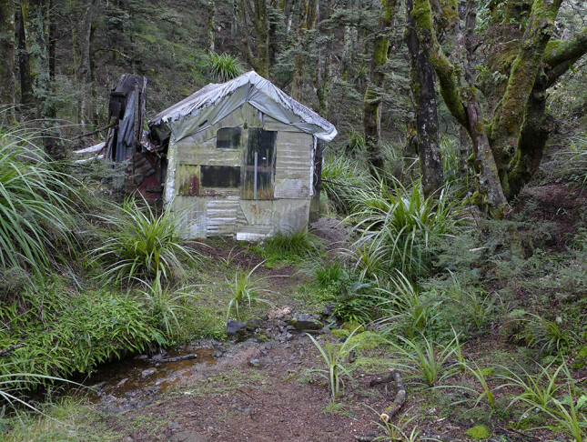 Mt Cameron Hut - Maori land, Hawke's Bay | Hut Bagger